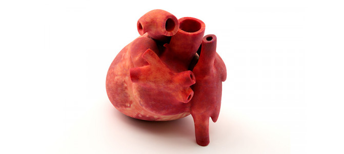 Купить 3D принтер 3D Systems ProJet CJP 860Pro (ZPrinter 850) в Москве ...